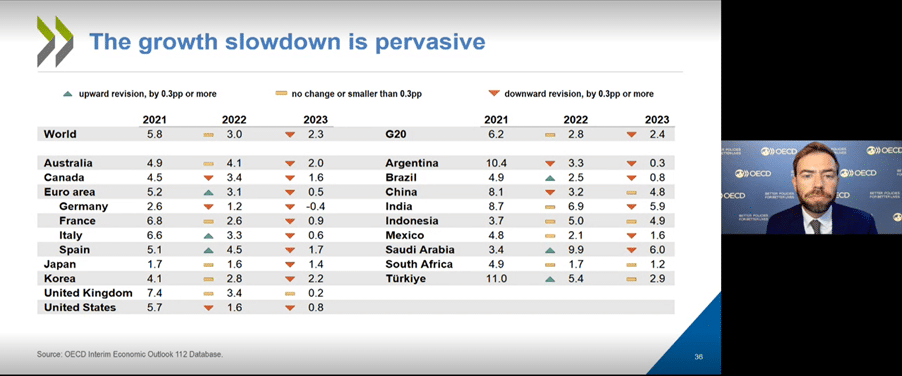Australia well poised as global inflation spikes, growth slows: OECD ...